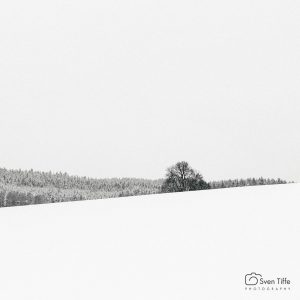 export-8-2 | Sven Tiffe Photography